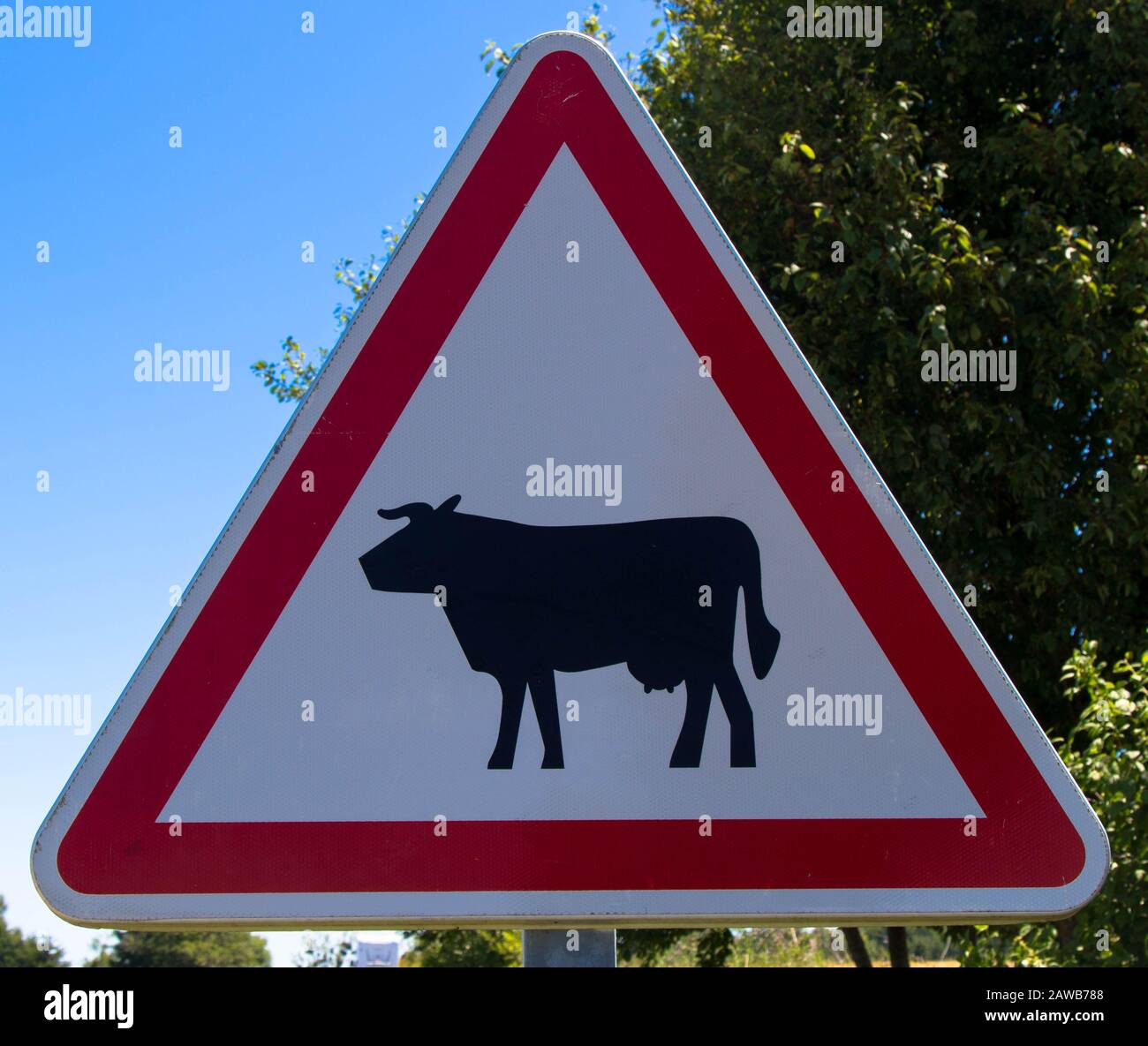 Cattle crossing sign hi-res stock photography and images - Alamy