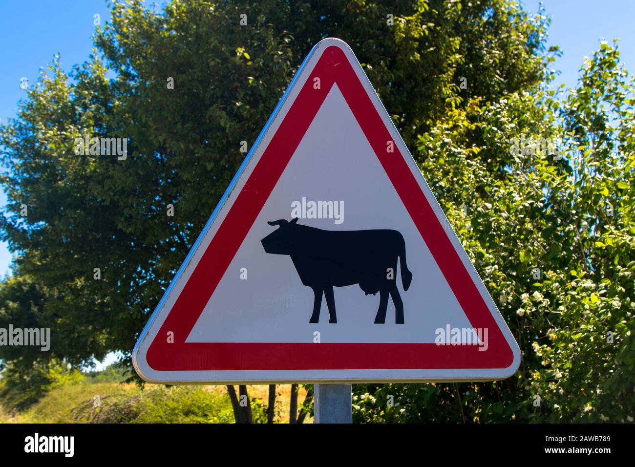 Beware of cattle sign hi-res stock photography and images - Alamy