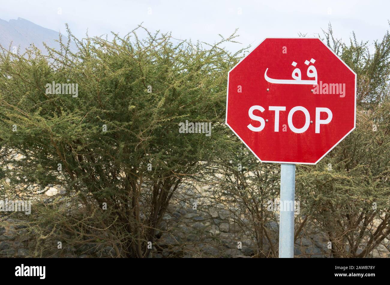 Stop sign for traffic against blue sky, stop Arabian Stock Photo - Alamy
