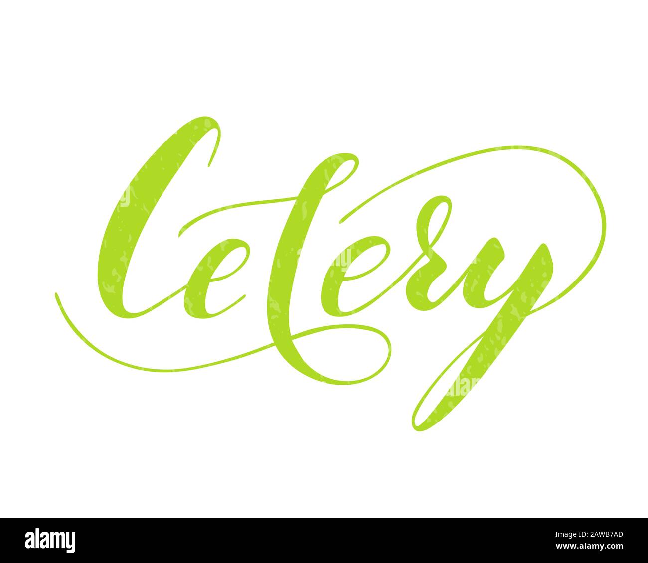 Vector hand written celery text isolated on white background. Kitchen ...