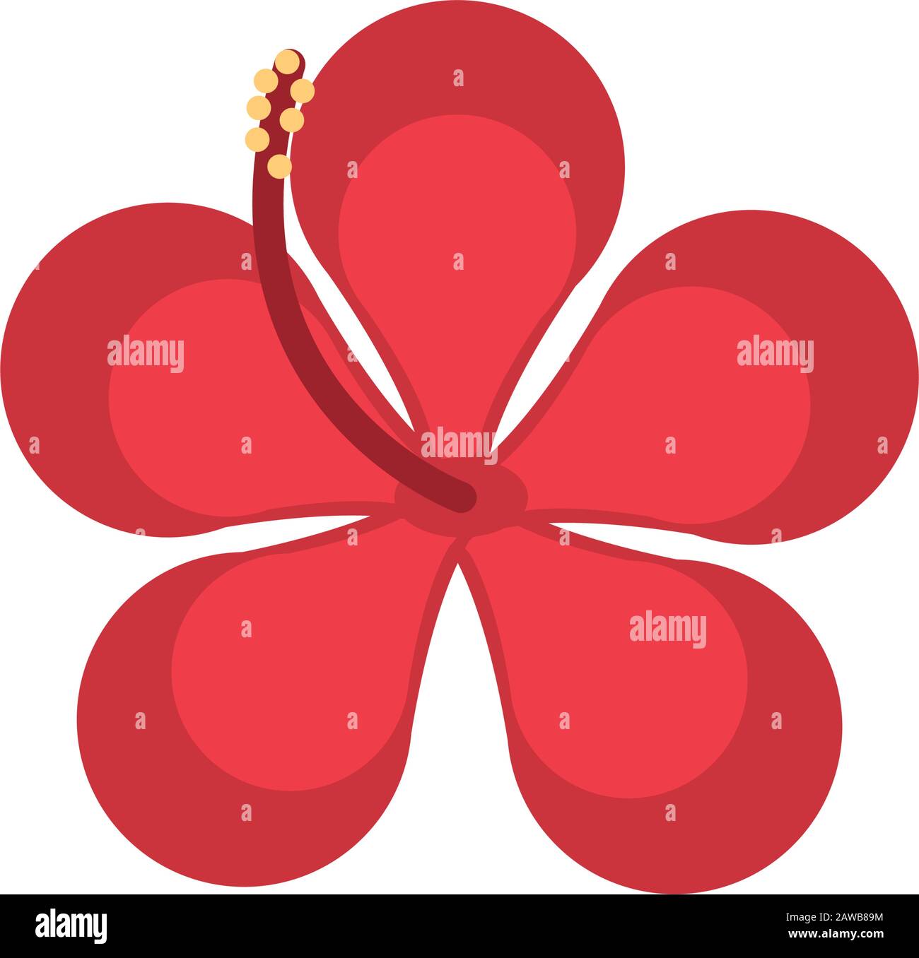 flower natural floral botanical on white background vector illustration ...