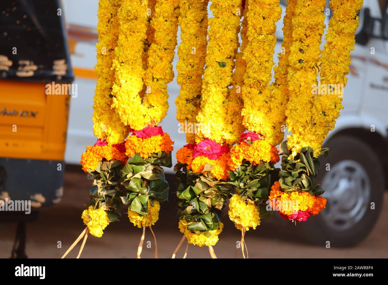 close- up of red roses flowers, yellow marigolds flowers, green leaves ...