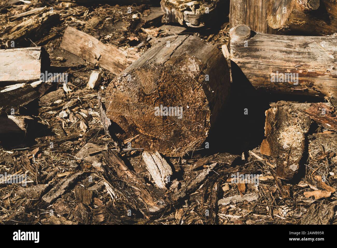 Wooden stumps countryside hi-res stock photography and images - Alamy