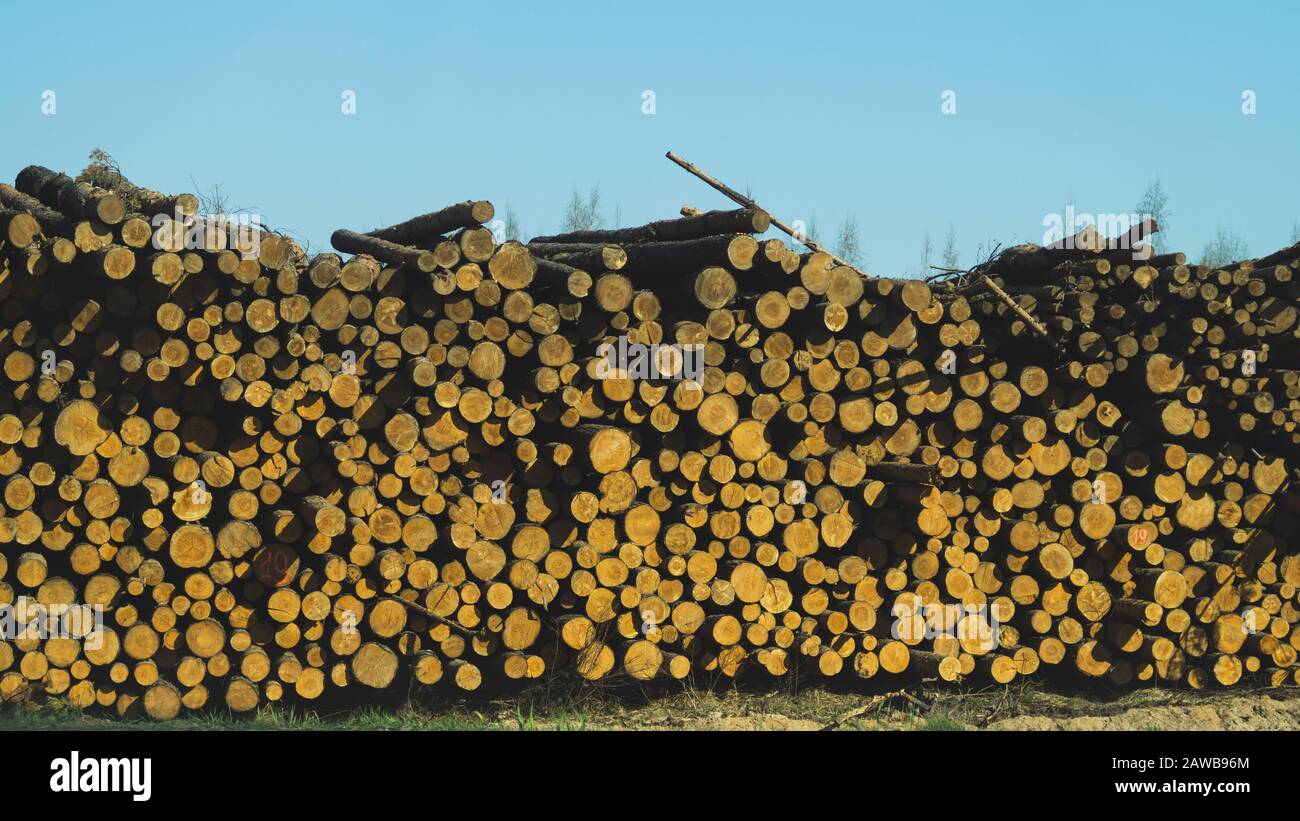 Stack of logs lying on the side of the road. large pile of timber ...
