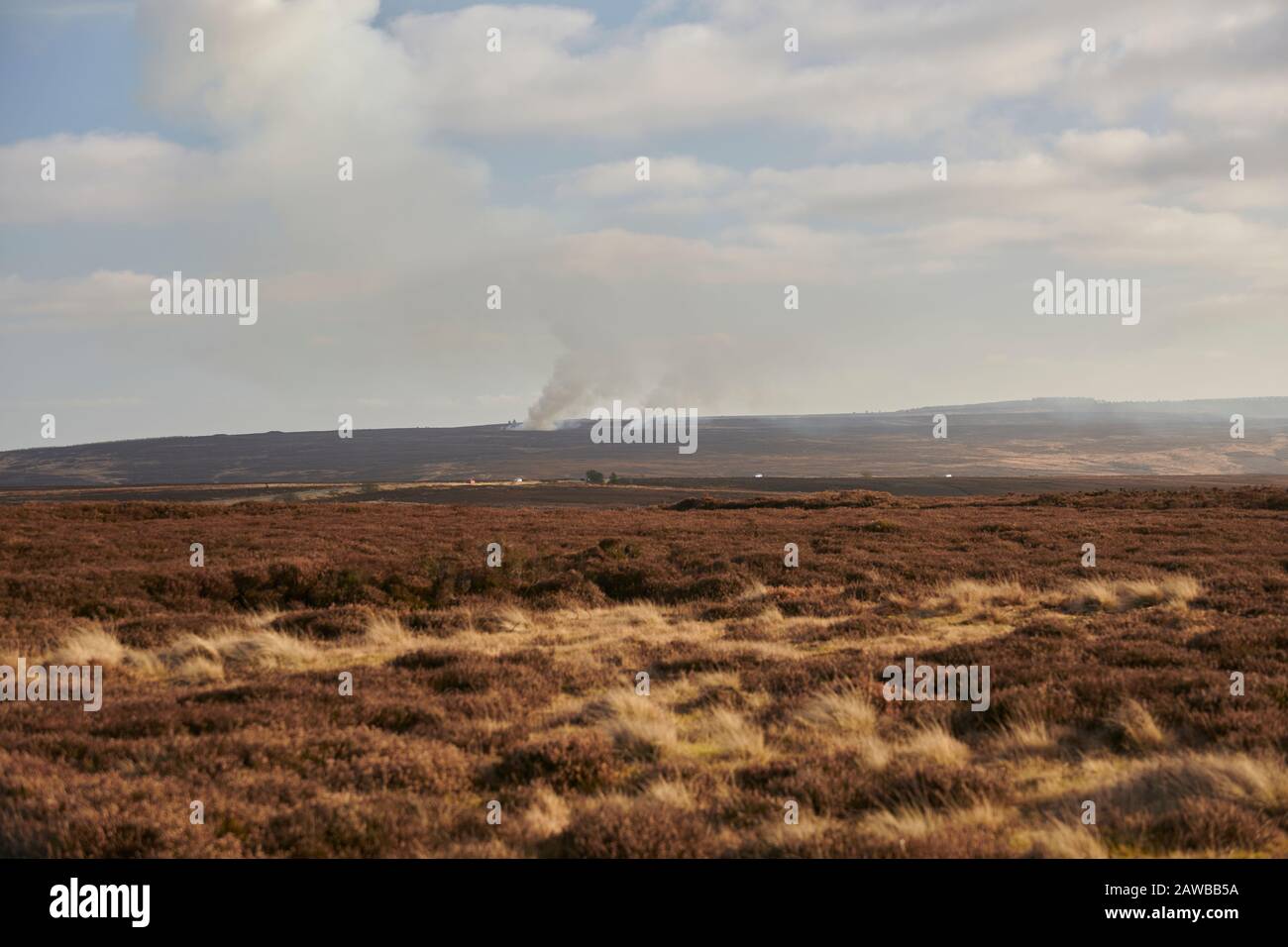 Grouse moor management hi-res stock photography and images - Alamy