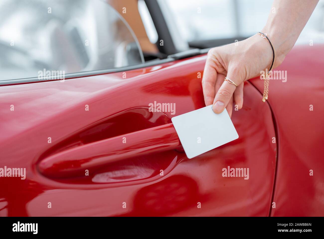 Identification key hi-res stock photography and images - Alamy