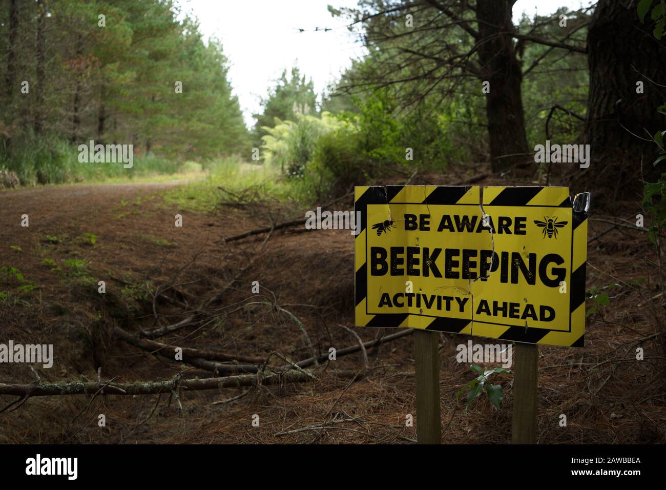 Warning sign bees hi-res stock photography and images - Alamy