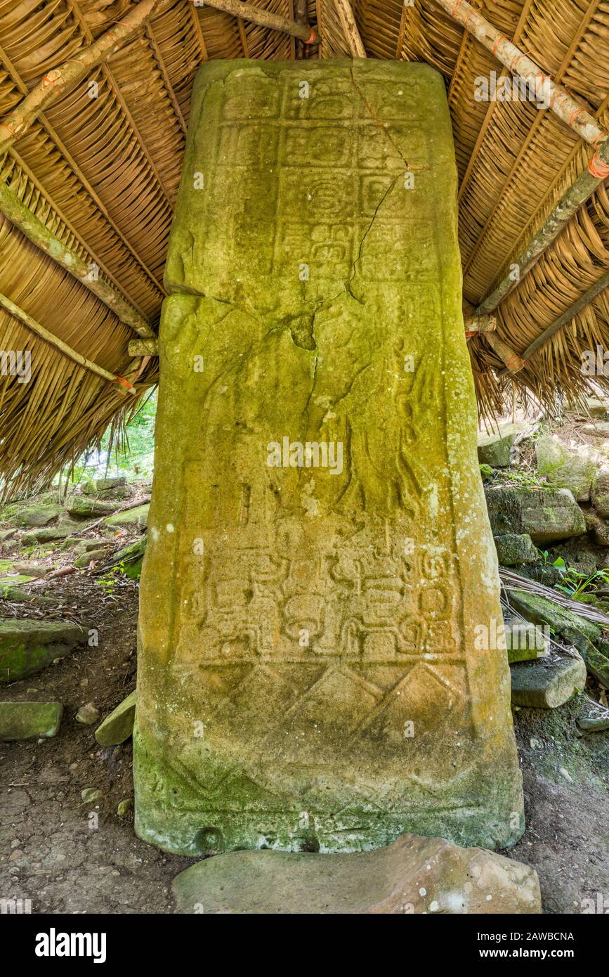 Stela at Plaza of the Stelae, Nim Li Punit, Maya ruins, rainforest ...