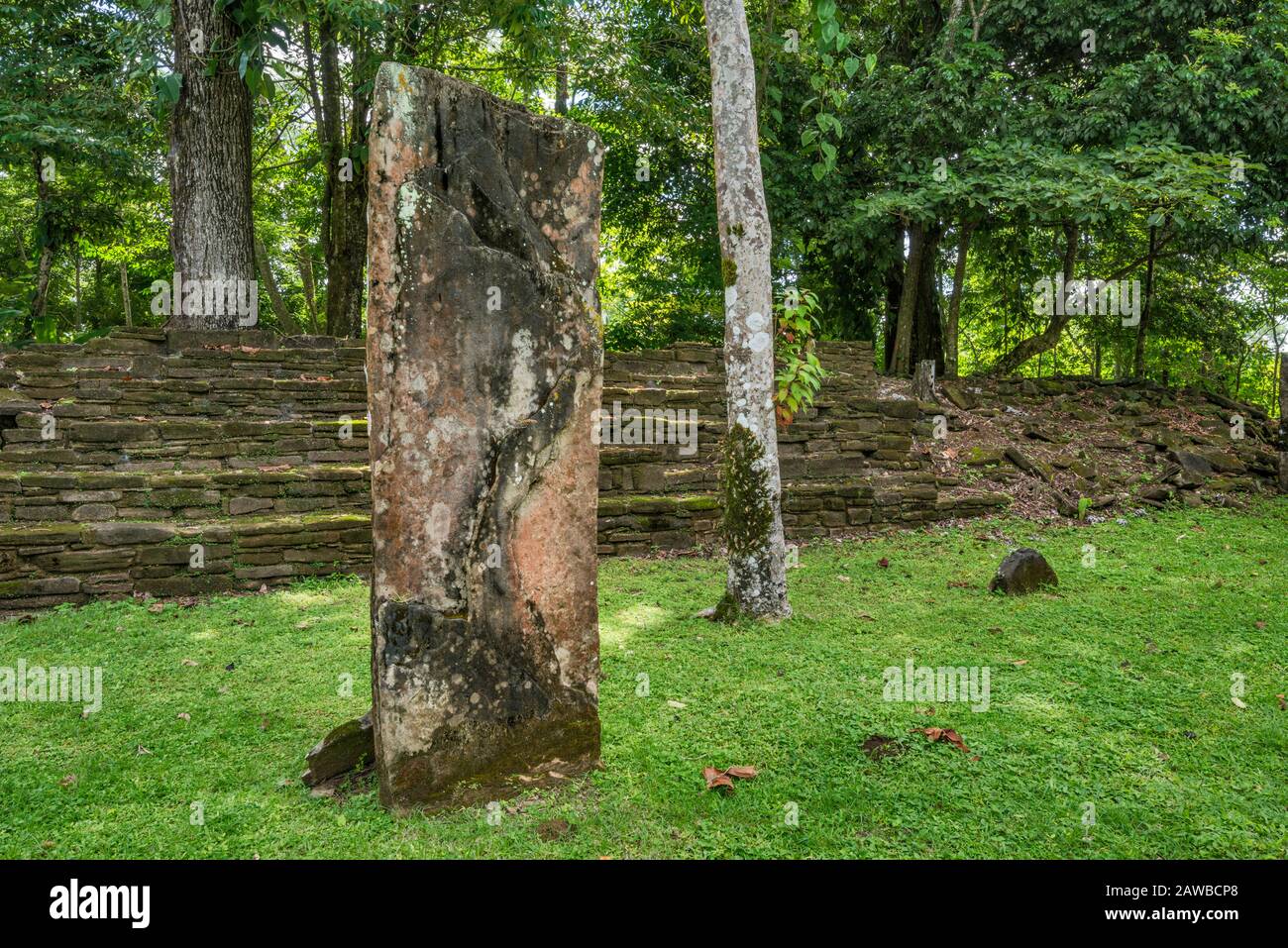 Stela at Plaza of the Stelae, Nim Li Punit, Maya ruins, rainforest ...
