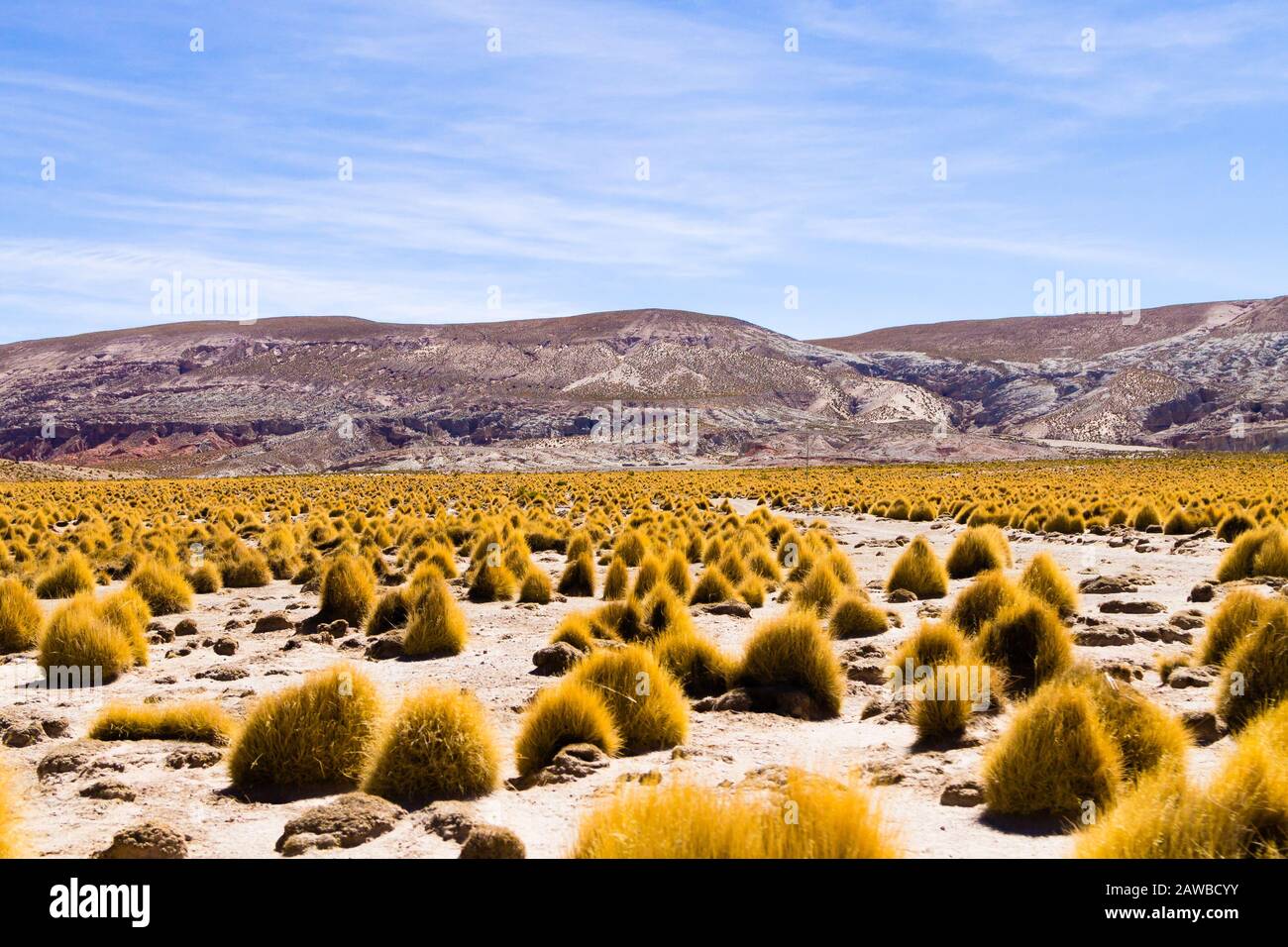 Bolivian mountains landscape,Bolivia.Andean plateau view Stock Photo ...