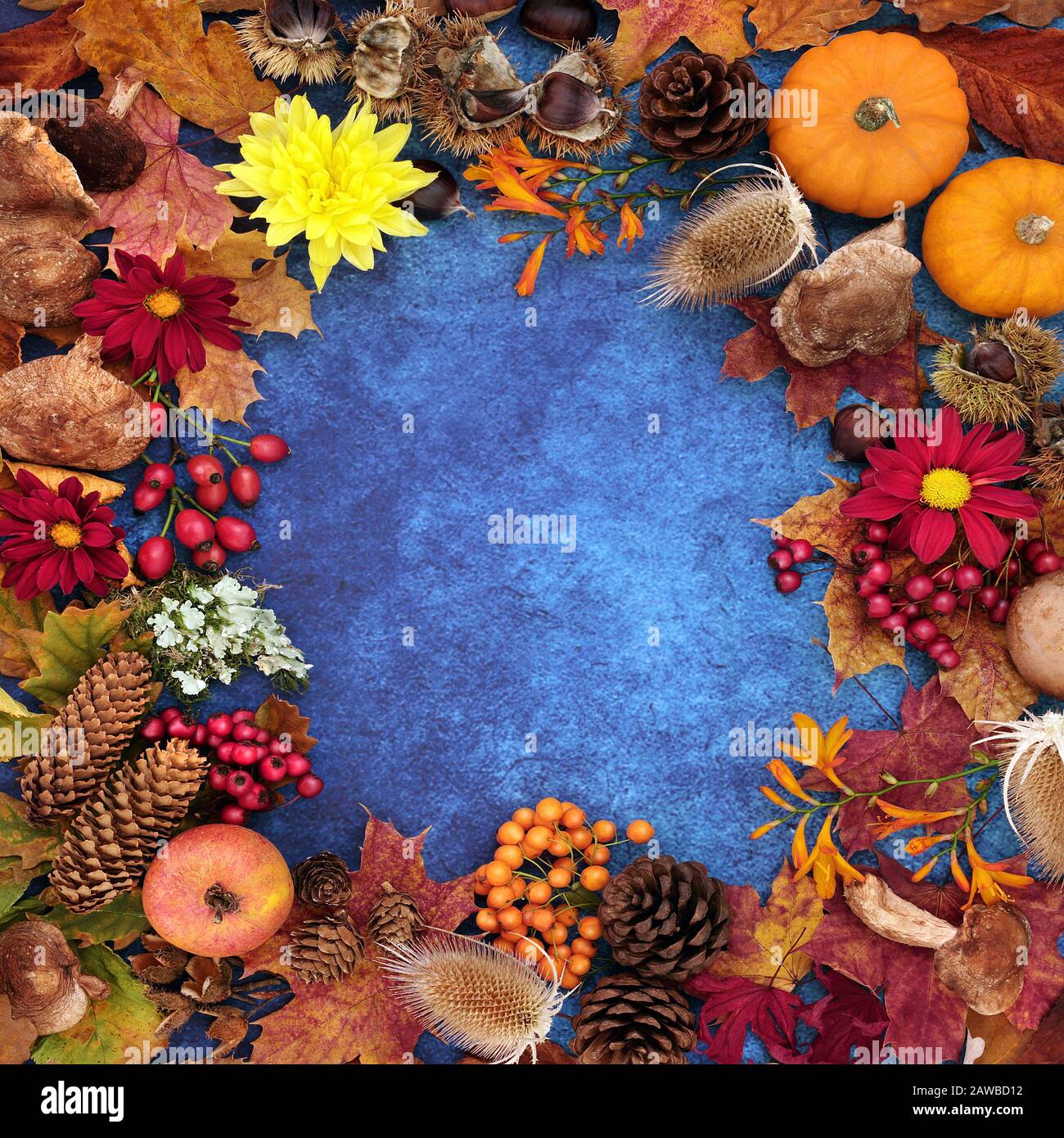 Autumn abstract border composition with food, flora and fauna on ...