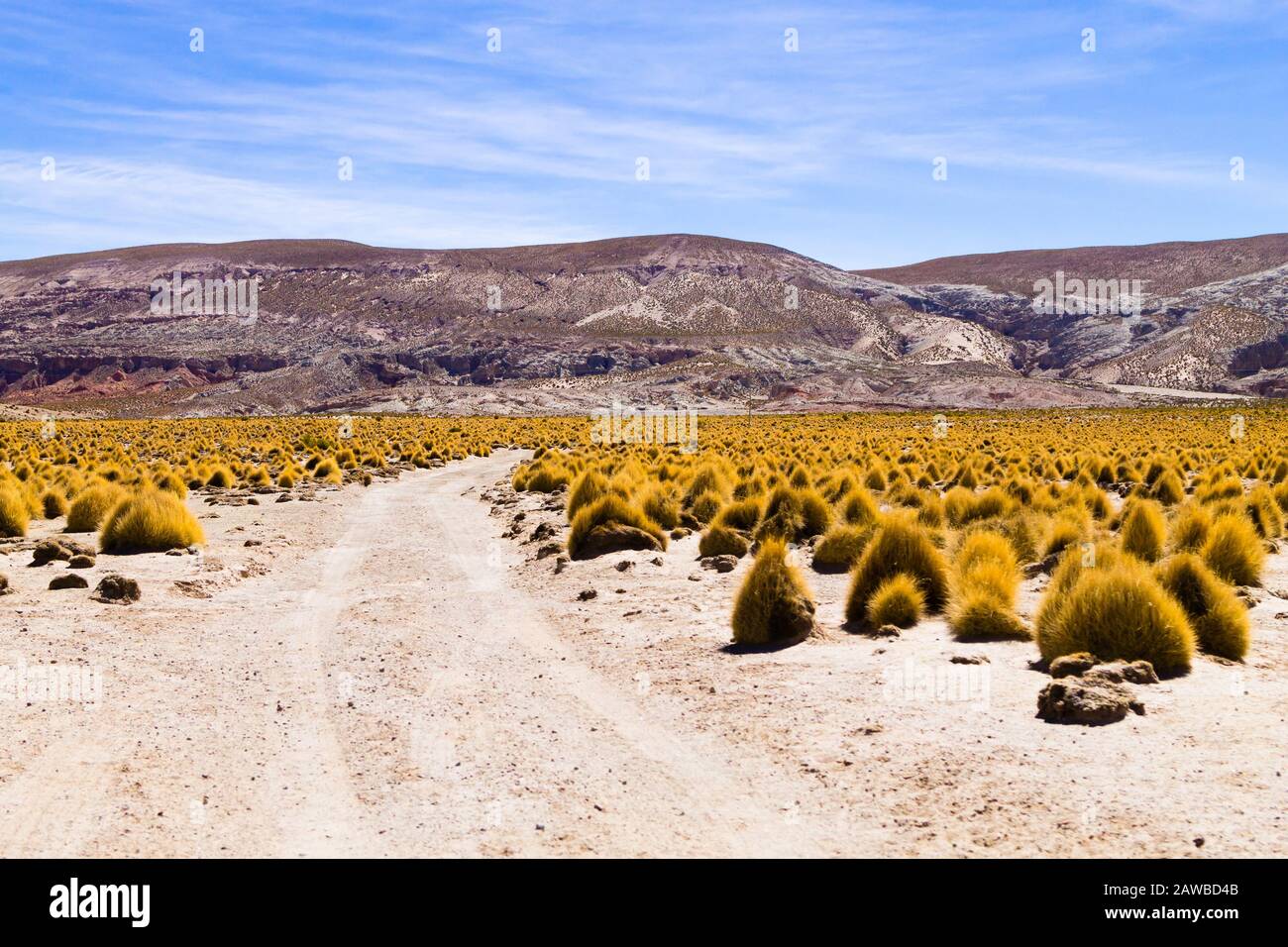 Bolivian mountains landscape,Bolivia.Andean plateau view Stock Photo ...