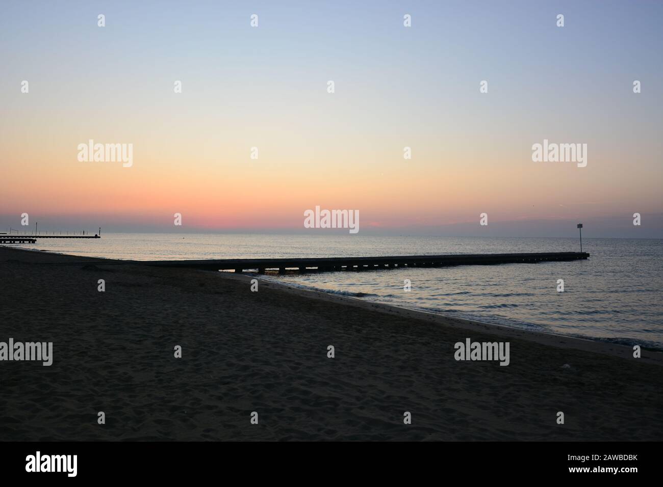 Summer bibione hi-res stock photography and images - Alamy