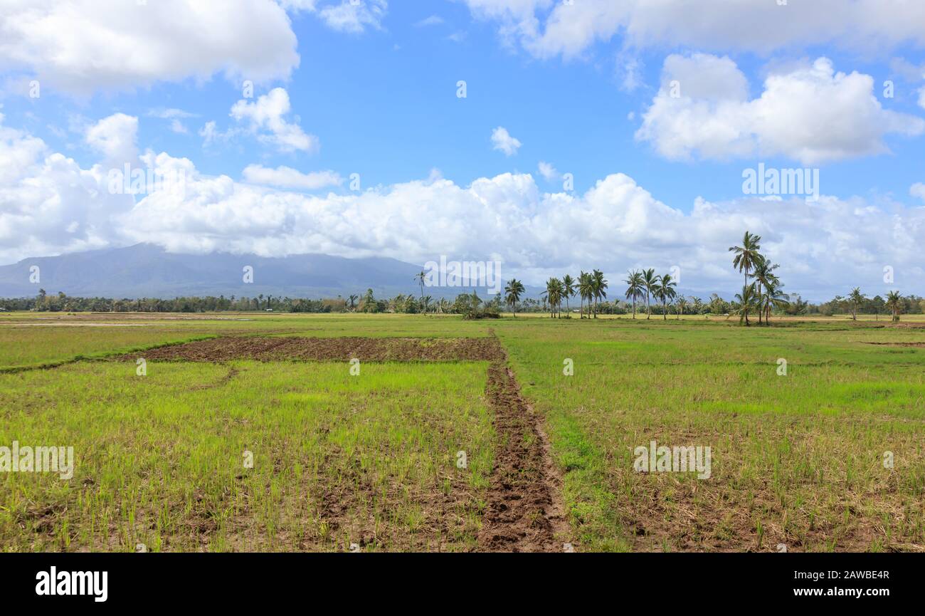 Farm in Tabontabon, Leyte, Philippines Stock Photo - Alamy