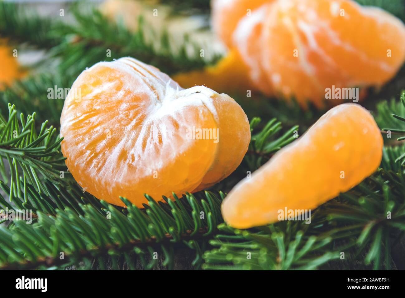 Fruit tree without fruits hi-res stock photography and images - Alamy