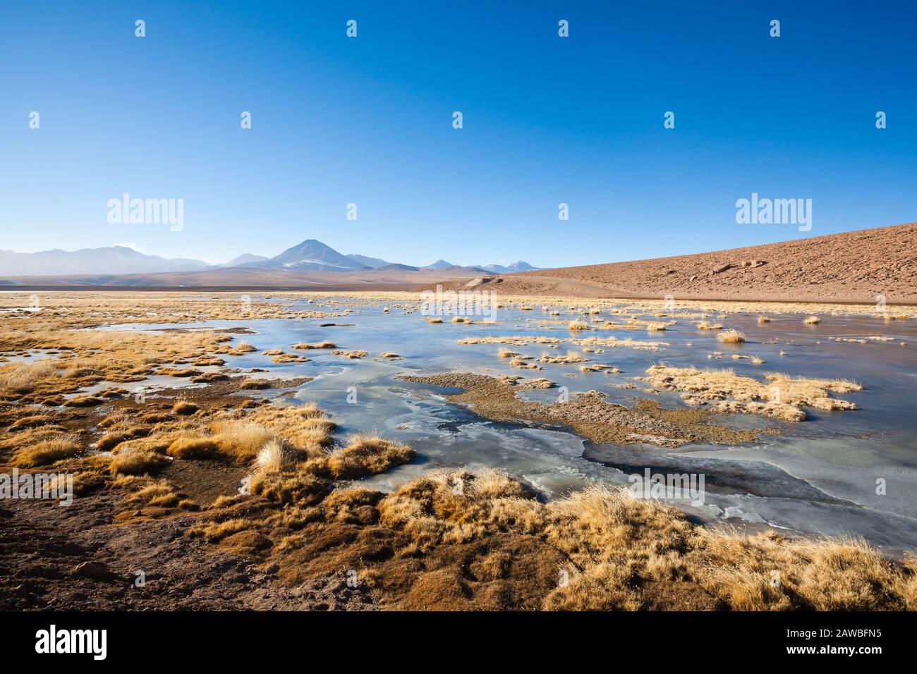 Chilean landscape, lagoon and Licancabur volcano. Chile panorama Stock ...