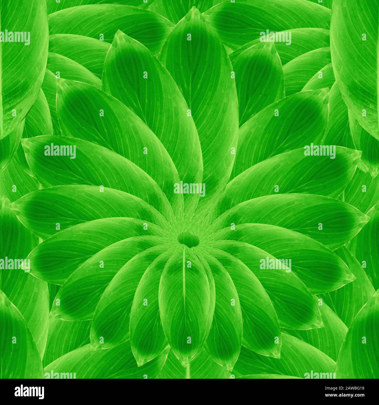 Bush pattern hi-res stock photography and images - Alamy