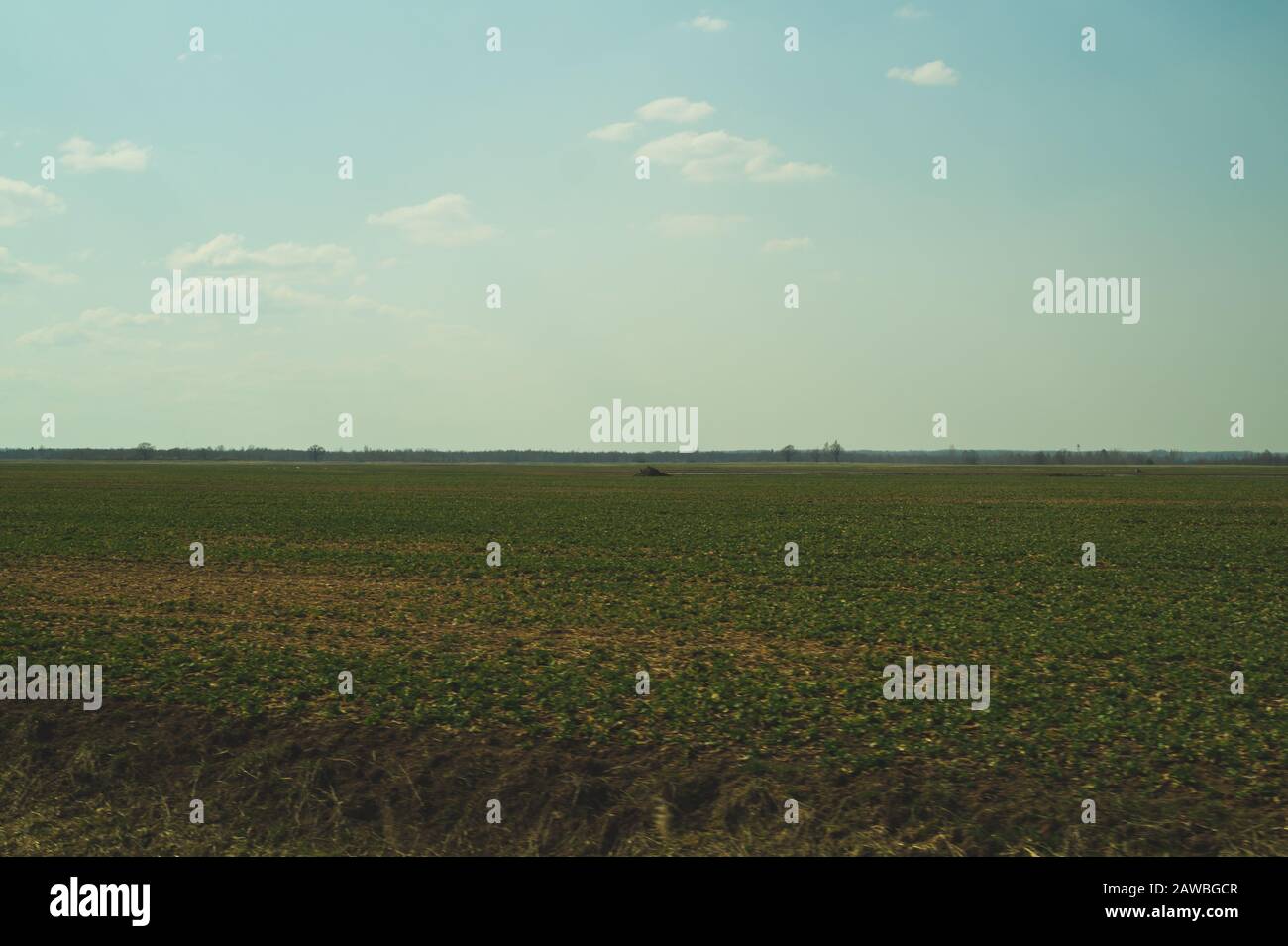 Wide field and the sky nature landscape background. horizon line Stock ...