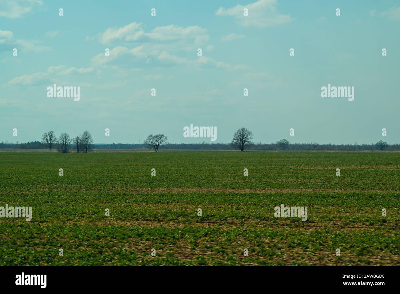Wide field and the sky nature landscape background. horizon line Stock ...