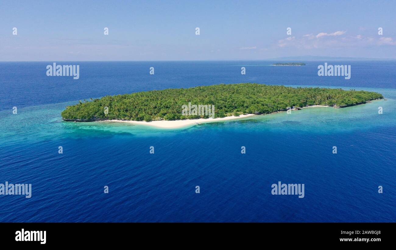 Tropical island with a white beach. Island with palm trees and white ...