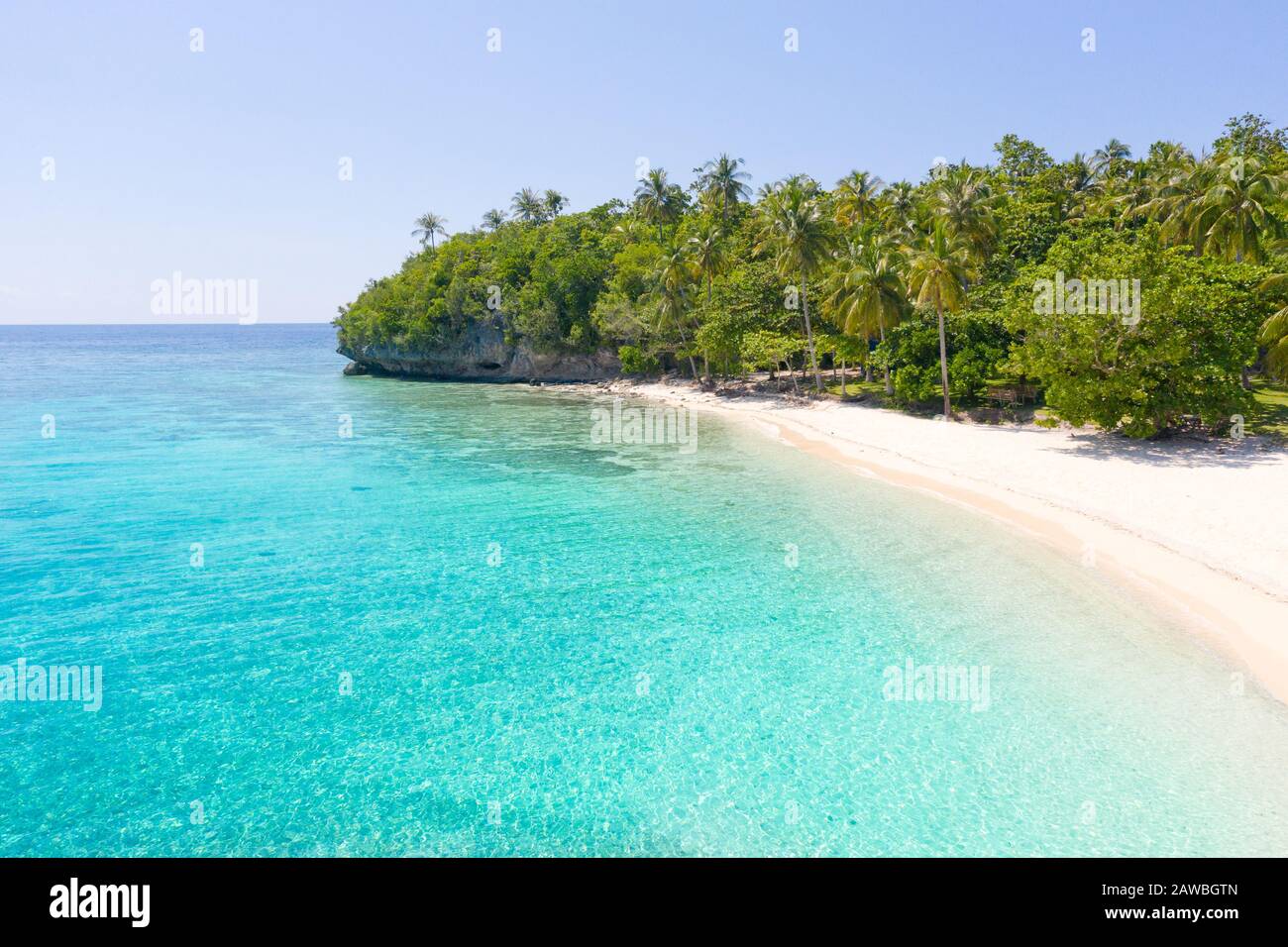 Tropical island with a white beach. Island with palm trees and white ...