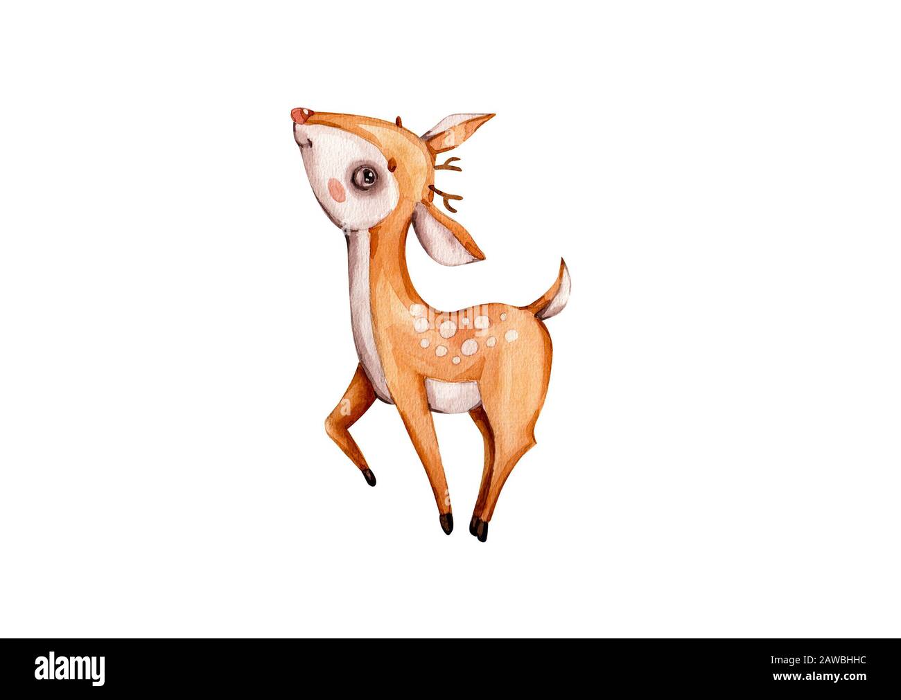 Nursery watercolor baby deer in boho style on white background ...