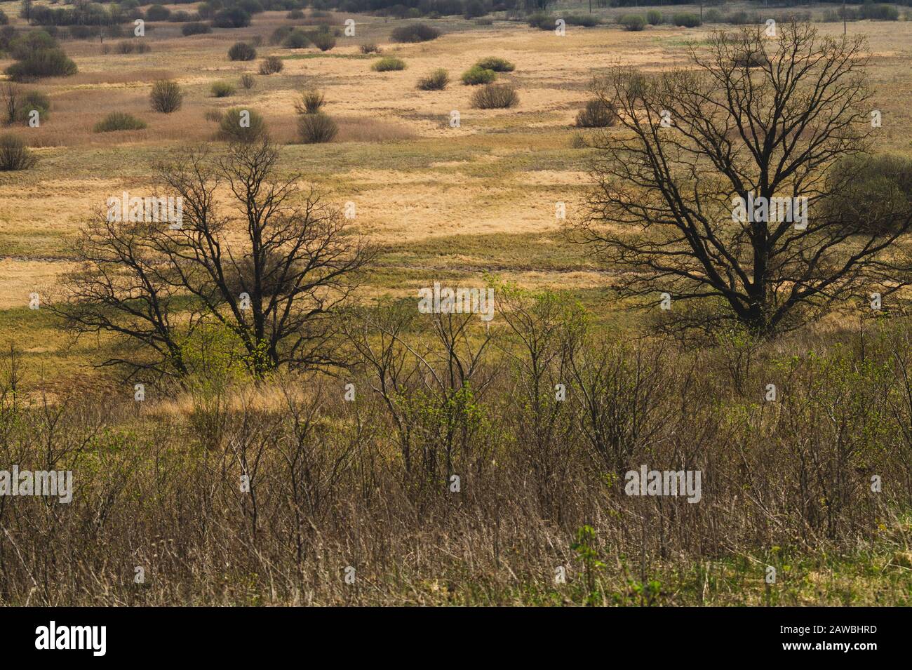 Nature panoramic landscape view from high. field with plants and trees ...