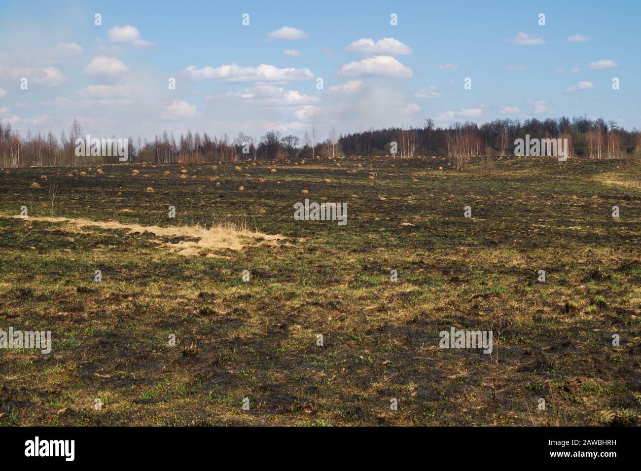 Wide field and the sky nature landscape background. horizon line Stock ...