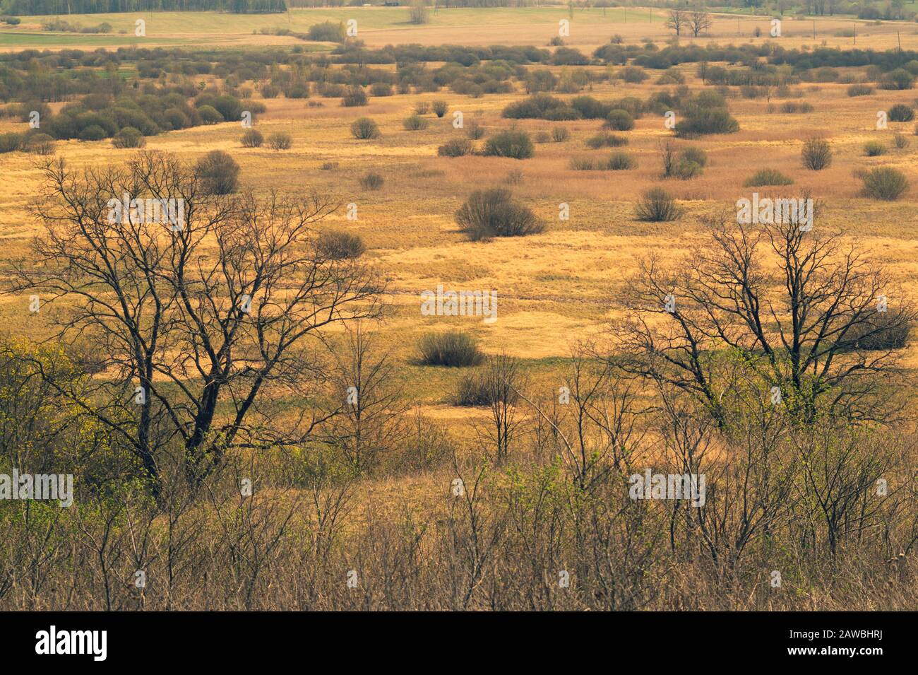 Nature panoramic landscape view from high. field with plants and trees ...