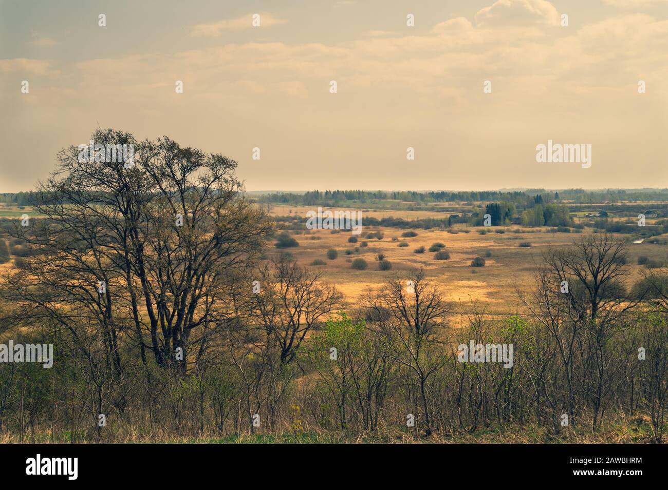 Nature panoramic landscape view from high. field with plants and trees ...