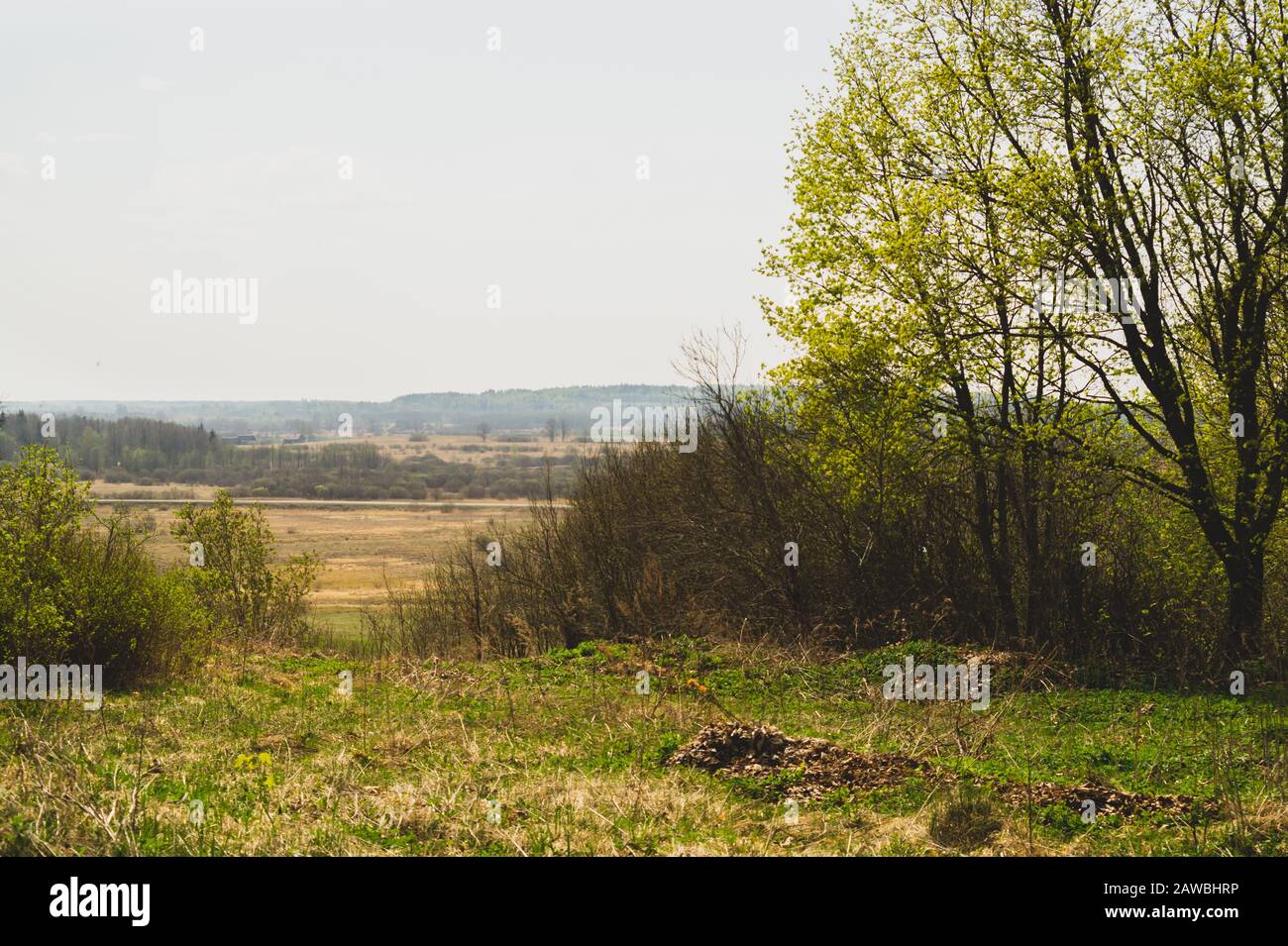 Nature panoramic landscape view from high. field with plants and trees ...