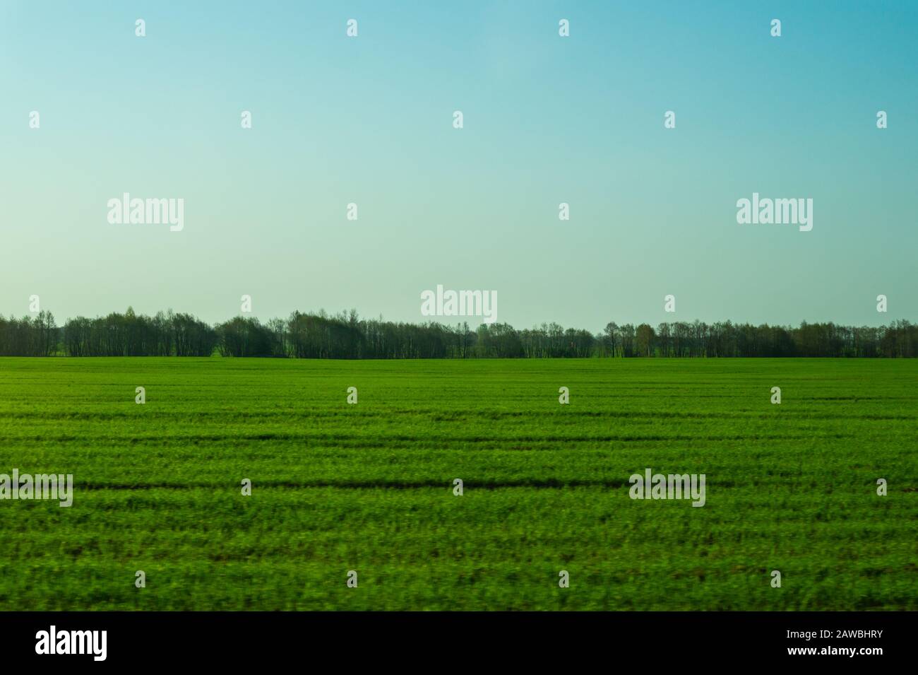 Wide field and the sky nature landscape background. horizon line Stock ...