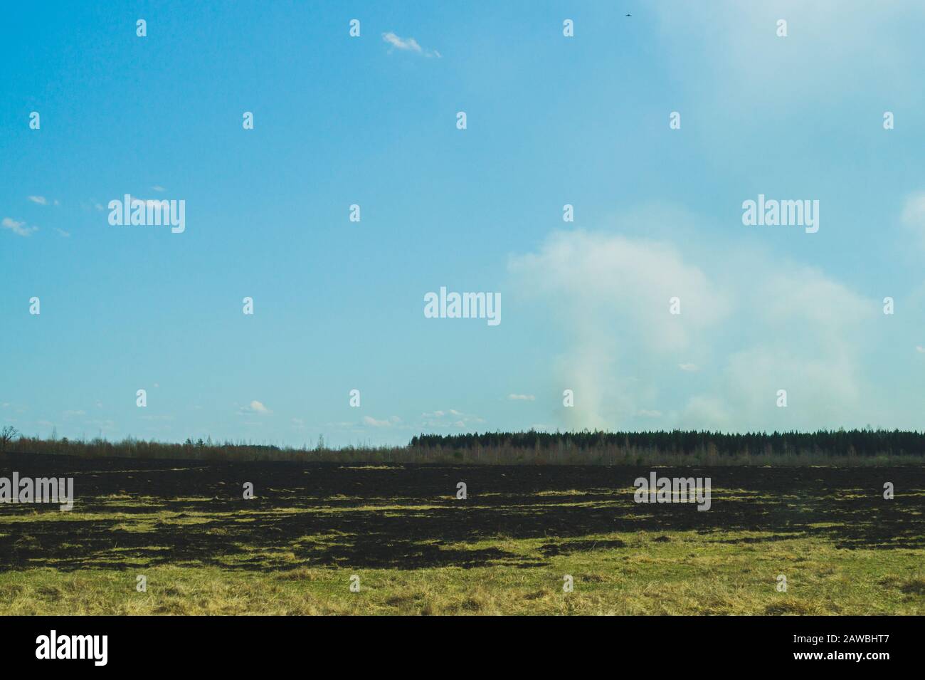 Wide field and the sky nature landscape background. horizon line Stock ...