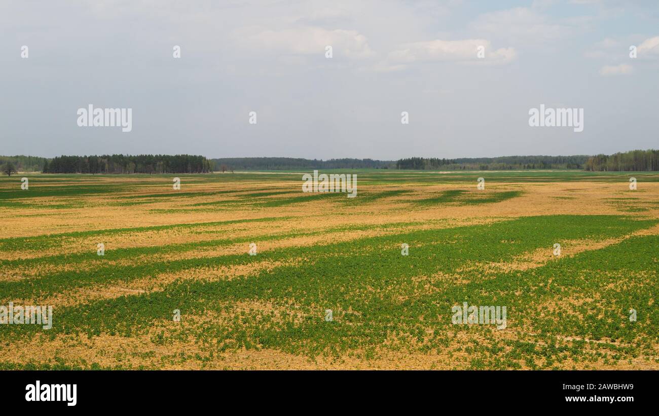 Wide field and the sky nature landscape background. horizon line Stock ...