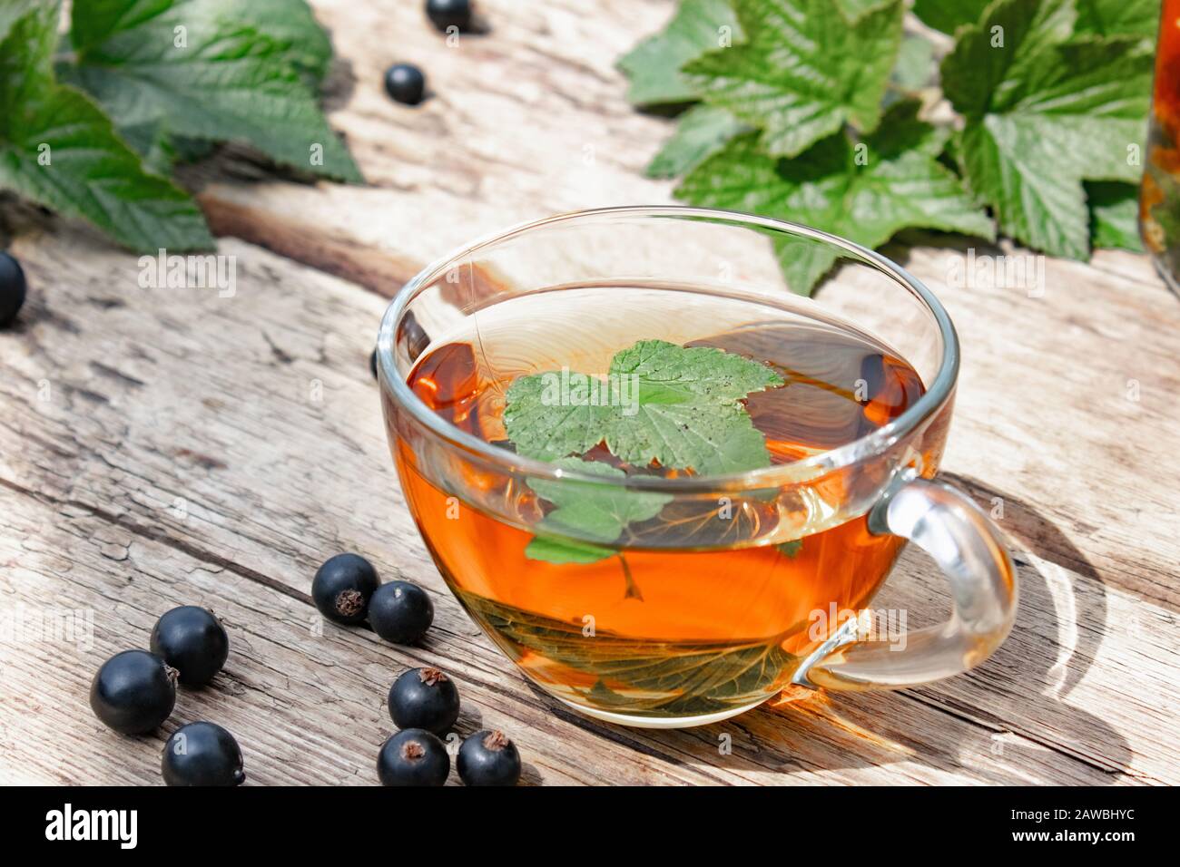 Black currant leaves hi-res stock photography and images - Alamy