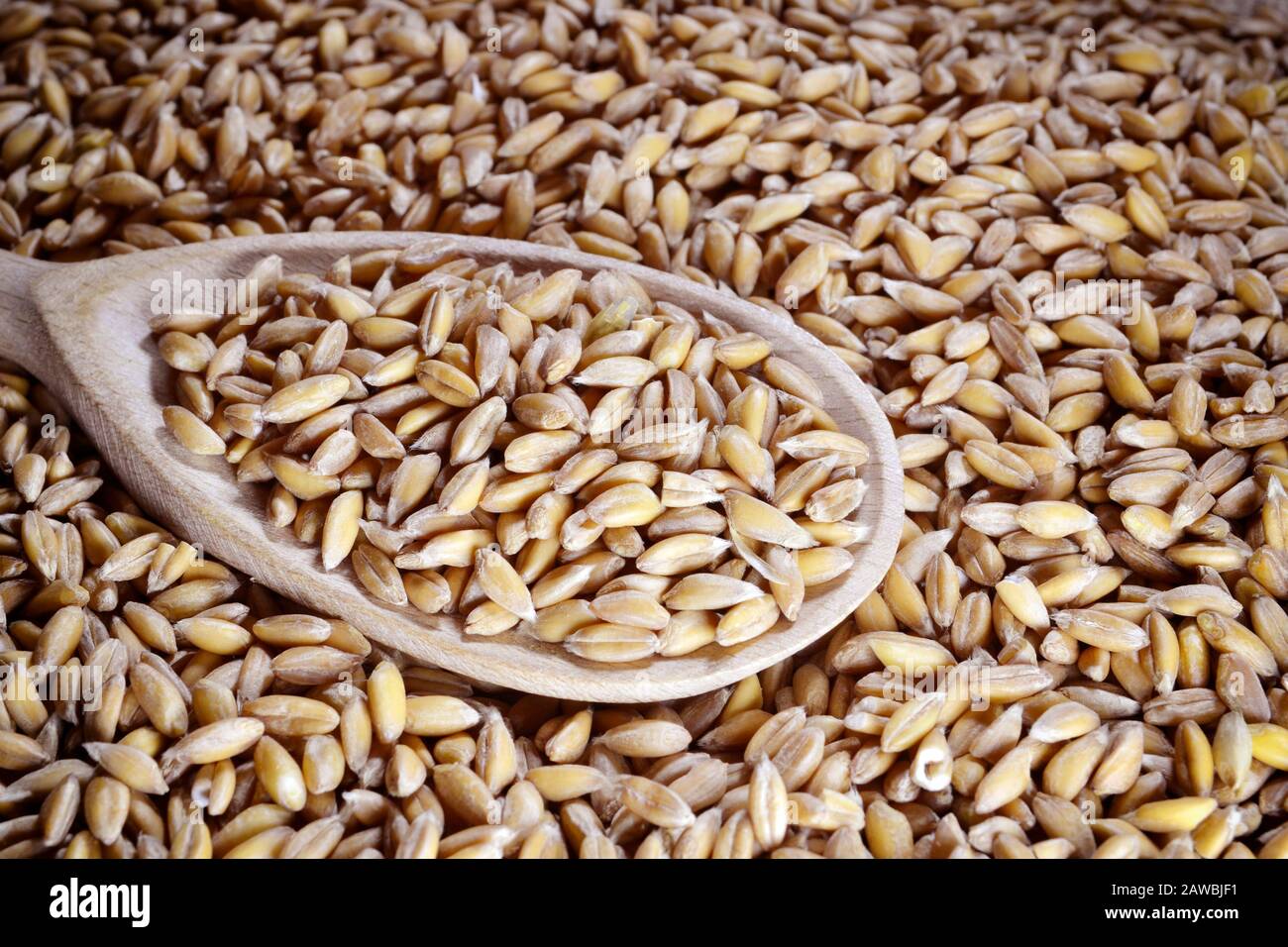 African grains hi-res stock photography and images - Alamy