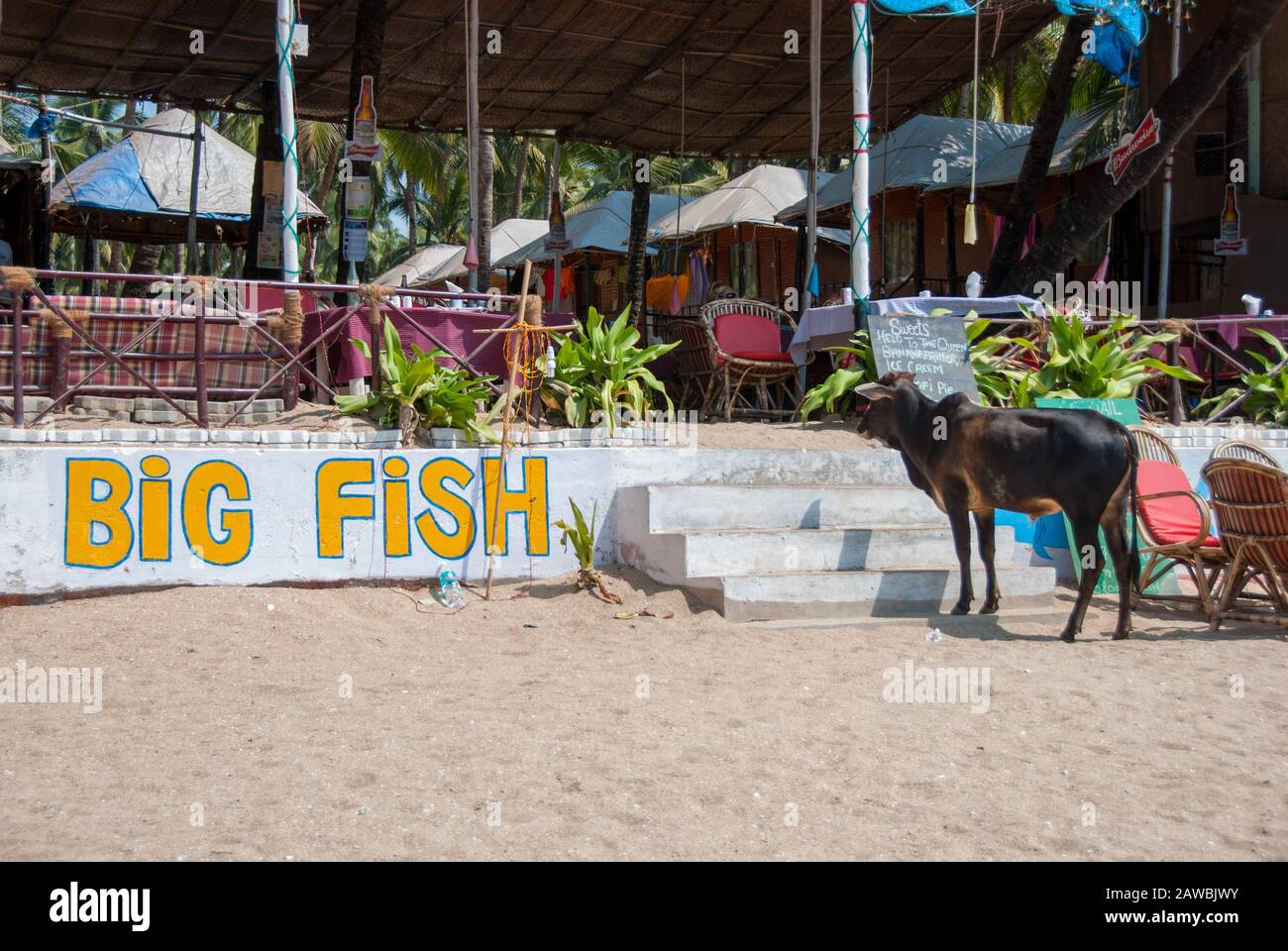 Southern Goa India Stock Photo - Alamy