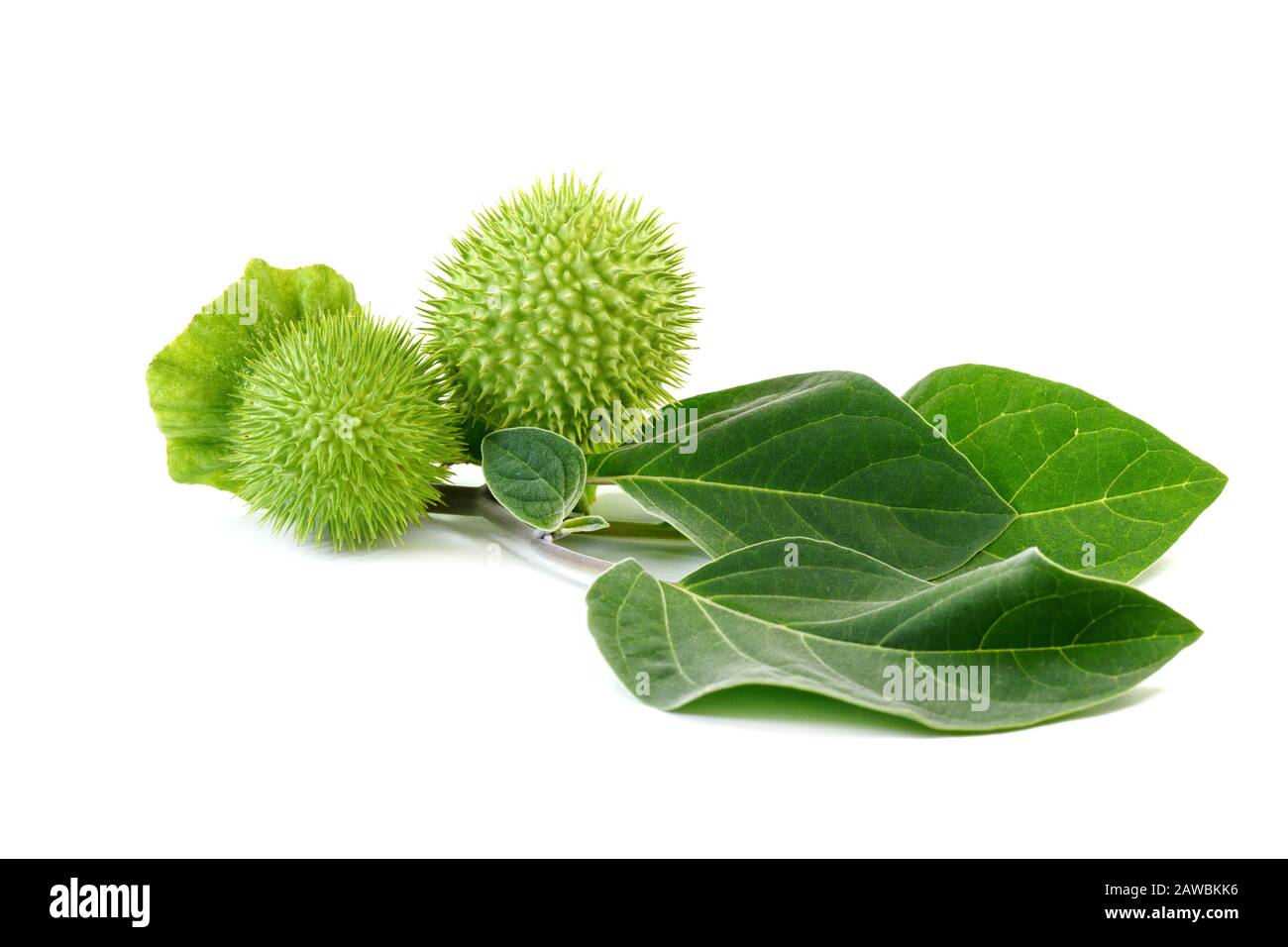 Hells Bells High Resolution Stock Photography and Images - Alamy