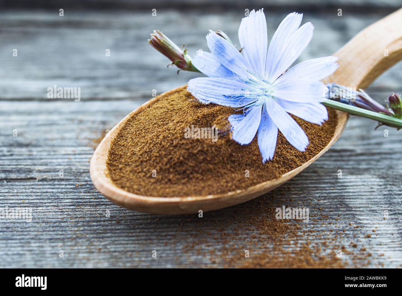 Blue chicory flower and a wooden spoon of chicory powder on an old ...