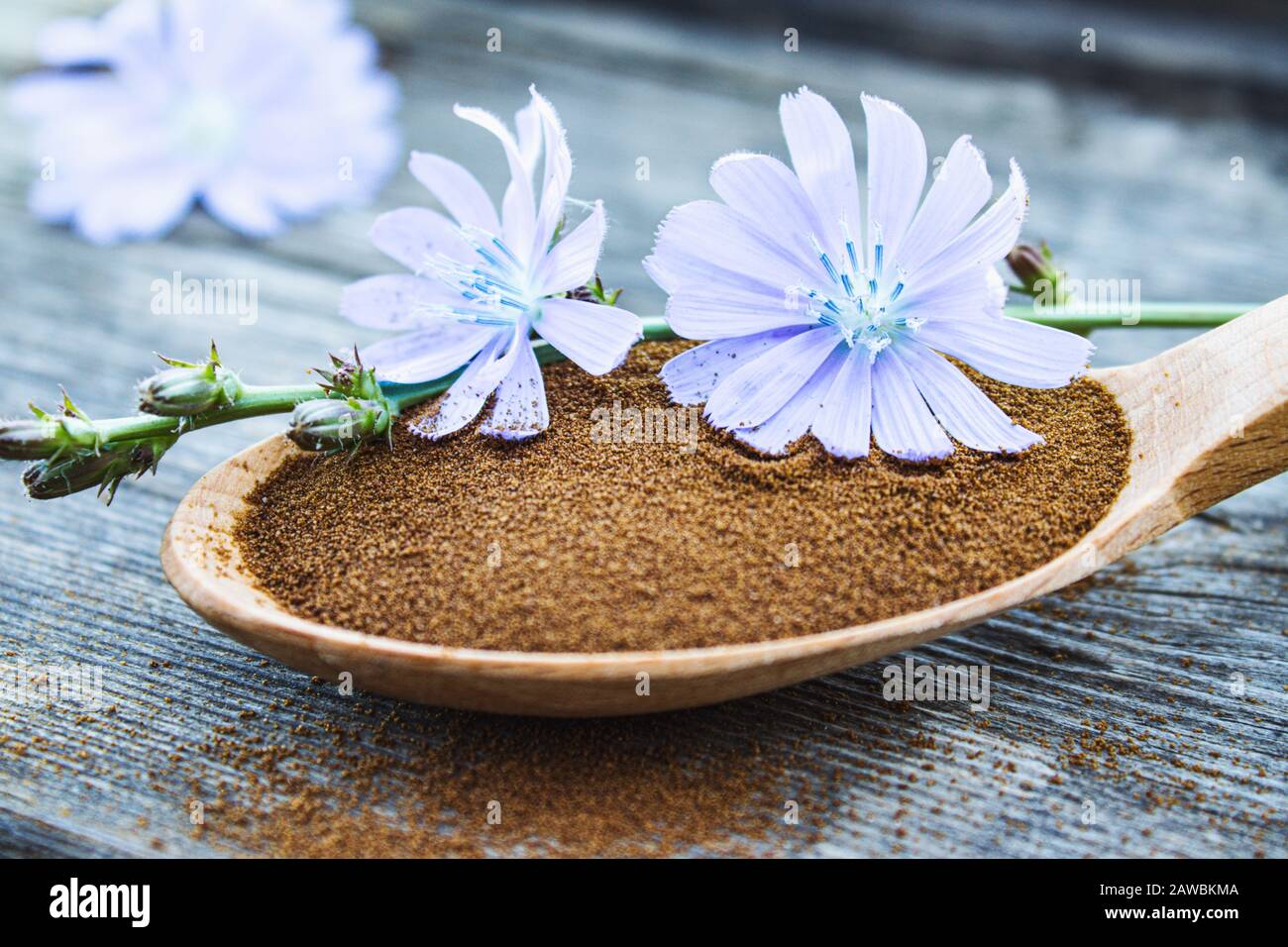 Blue chicory flower and a wooden spoon of chicory powder on an old ...