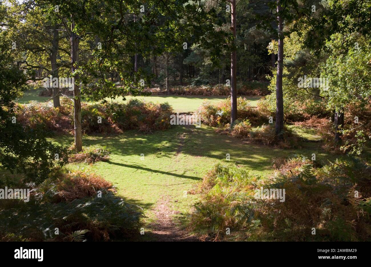 Denny lodge hampshire hi-res stock photography and images - Alamy