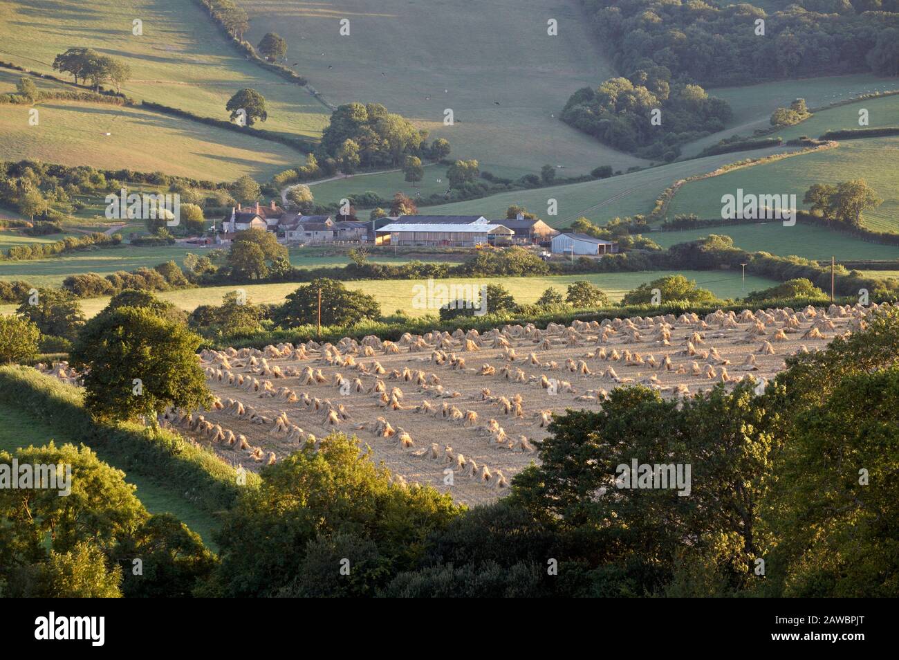 Farm near Yarcombe, Devon, England Stock Photo - Alamy