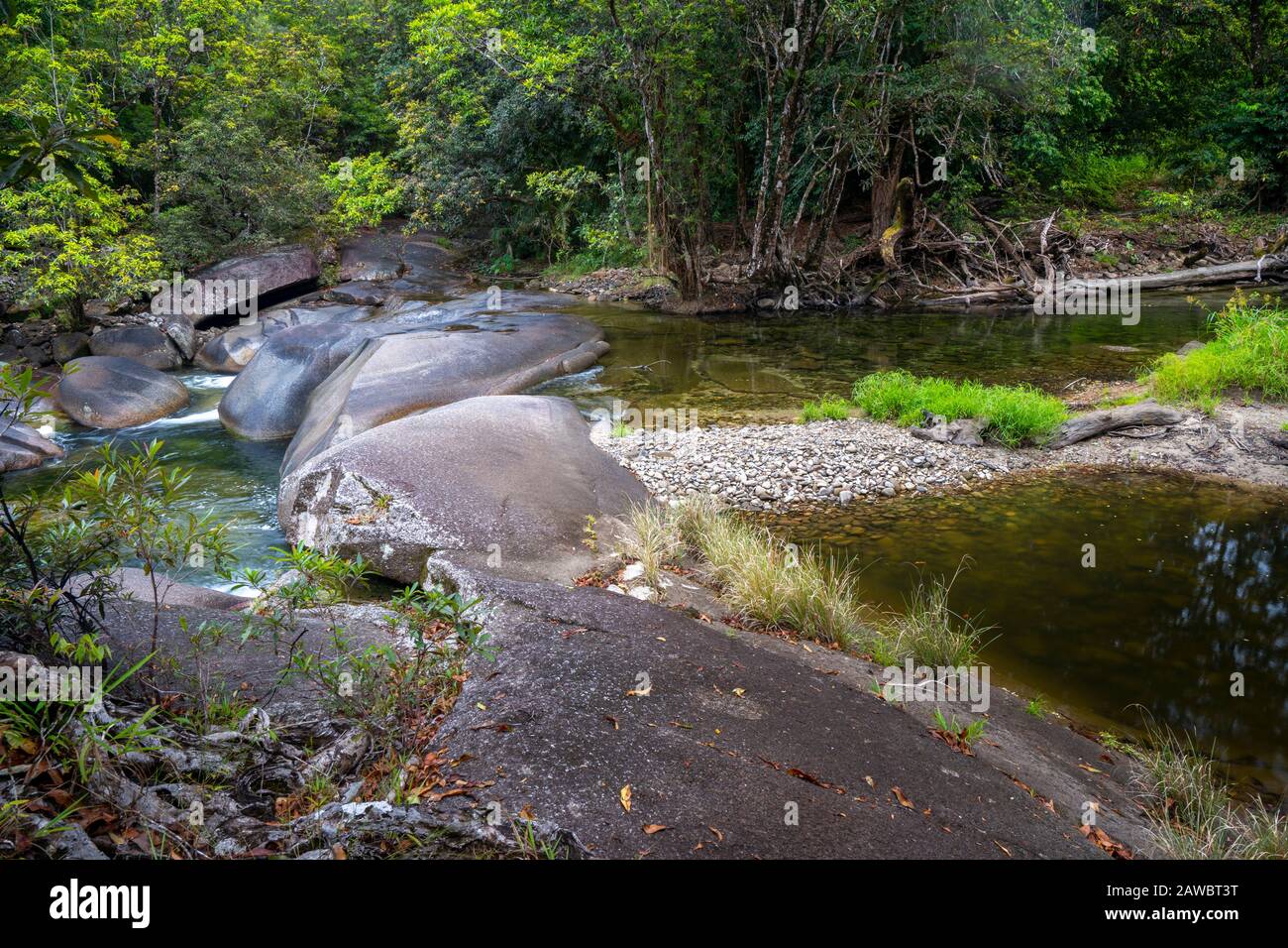 Babinda Creek at foothills of the Bellenden Ker Range, North Queensland ...