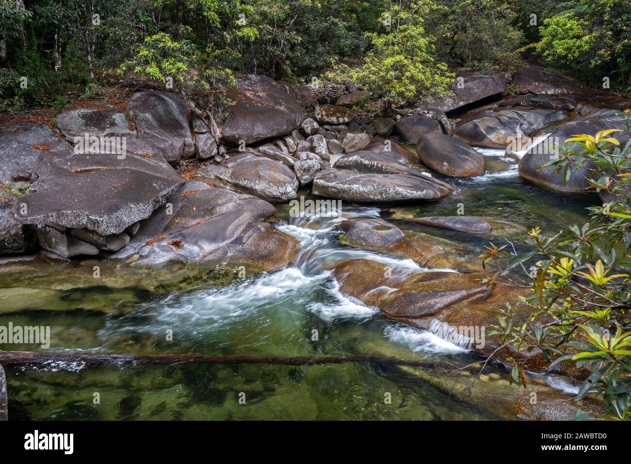 Bellenden ker range hi-res stock photography and images - Alamy