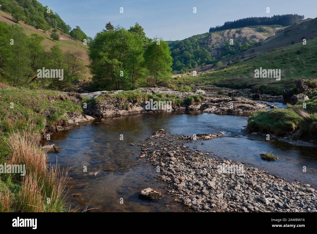 Tywi forest hi-res stock photography and images - Alamy