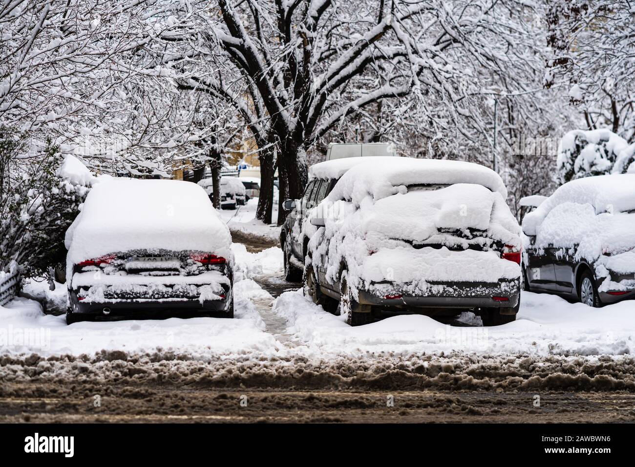 Cars covered with snow from the first snow fall of the year. Winter ...