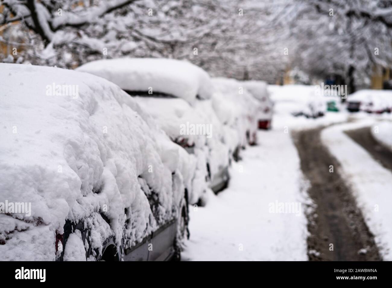 The First Snow High Resolution Stock Photography and Images - Alamy