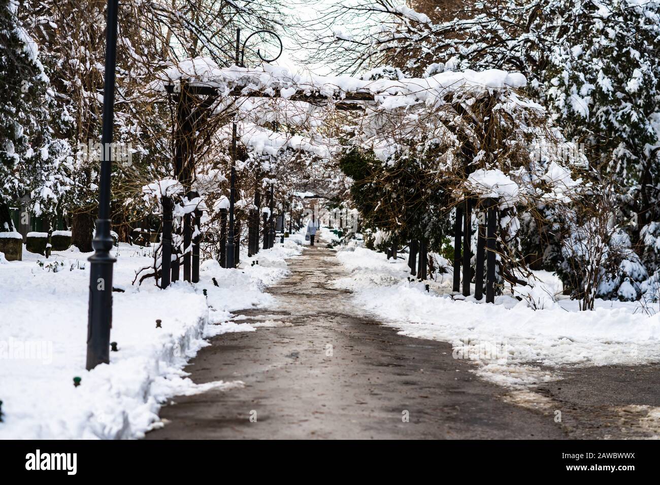 Path way made by people walking thru the snow in the park. Path in ...