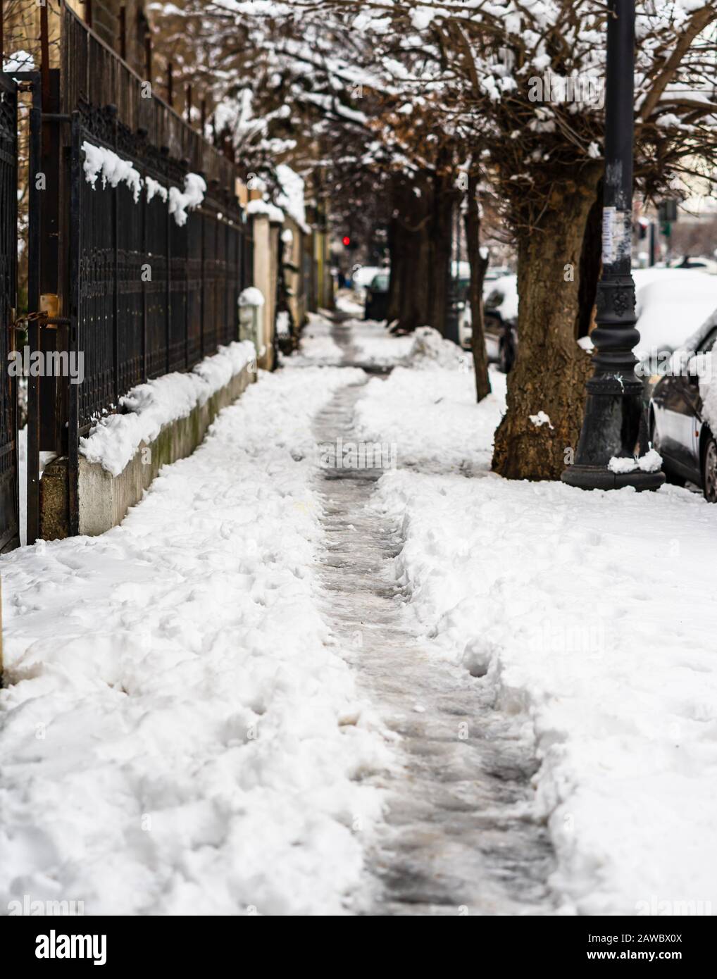 Path way made by people walking thru the snow in the morning. Path in ...