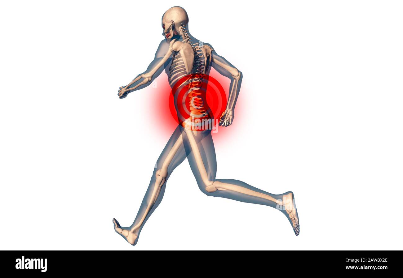 Lower Spine Pain in Human Body Transparent Design 3D Illustration Stock ...